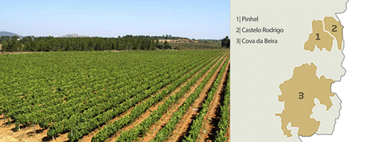 Beira Interior ベイラ・インテリオール │ Wines of Portugal 公式サイト
